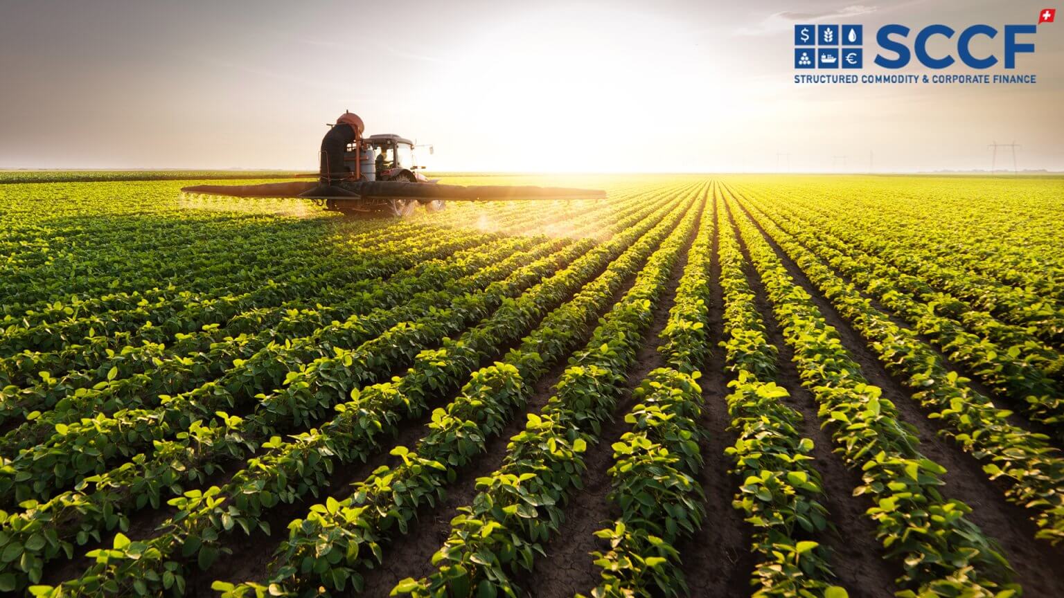 Forging a New Path - Corporate Vision Magazine