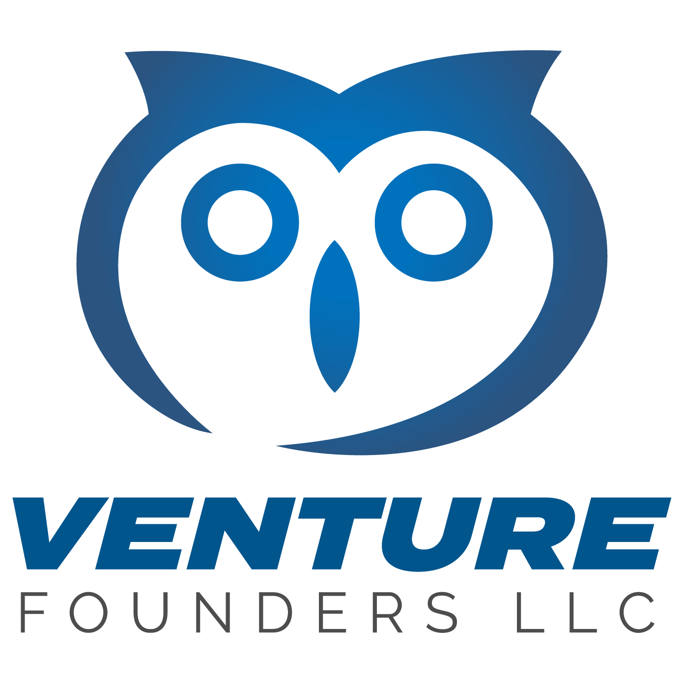 Venture Founders LLC (2021 Winner: Global Business Awards) - Corporate ...